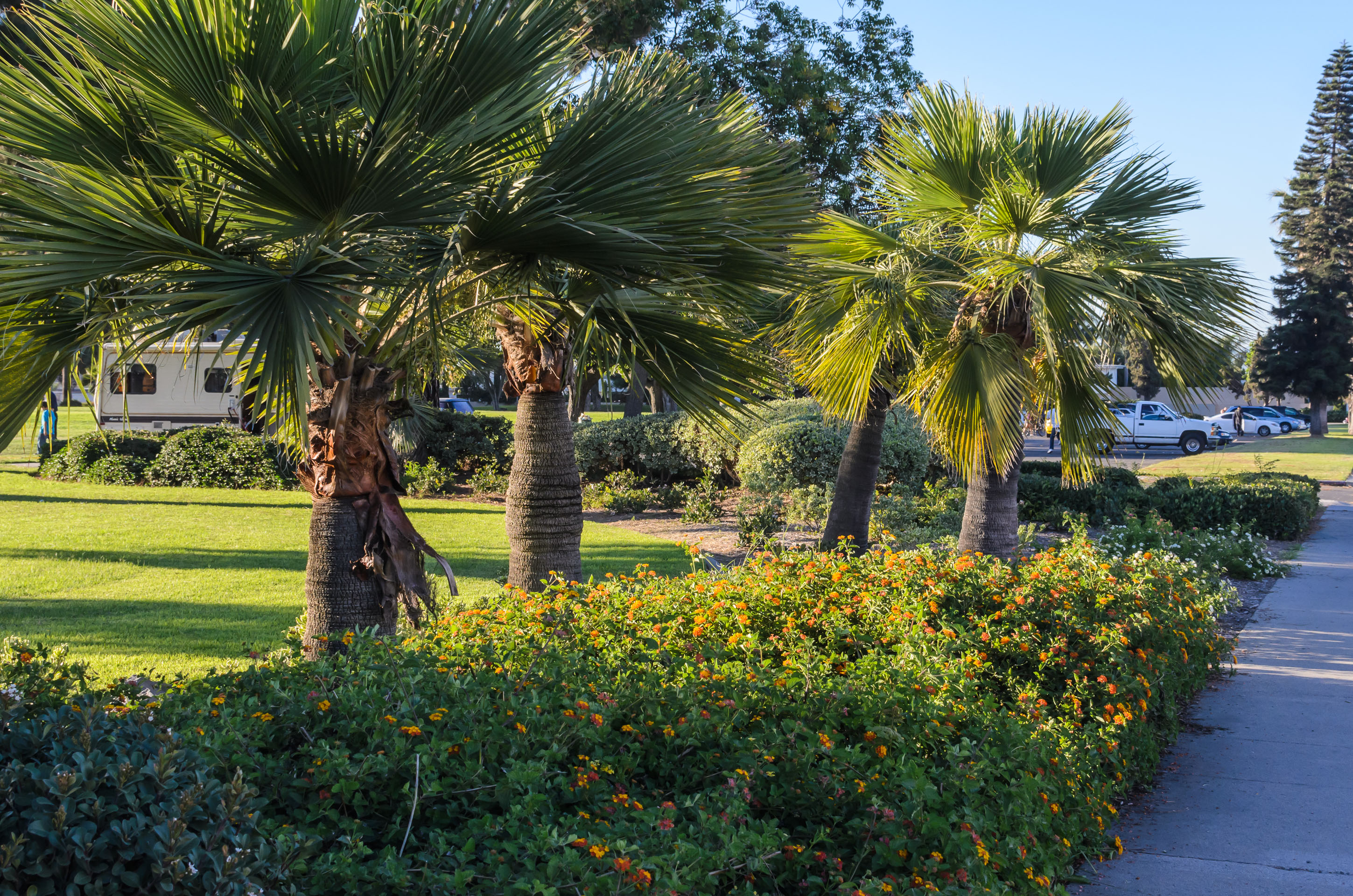 Modjeska Park - MrGALL.com