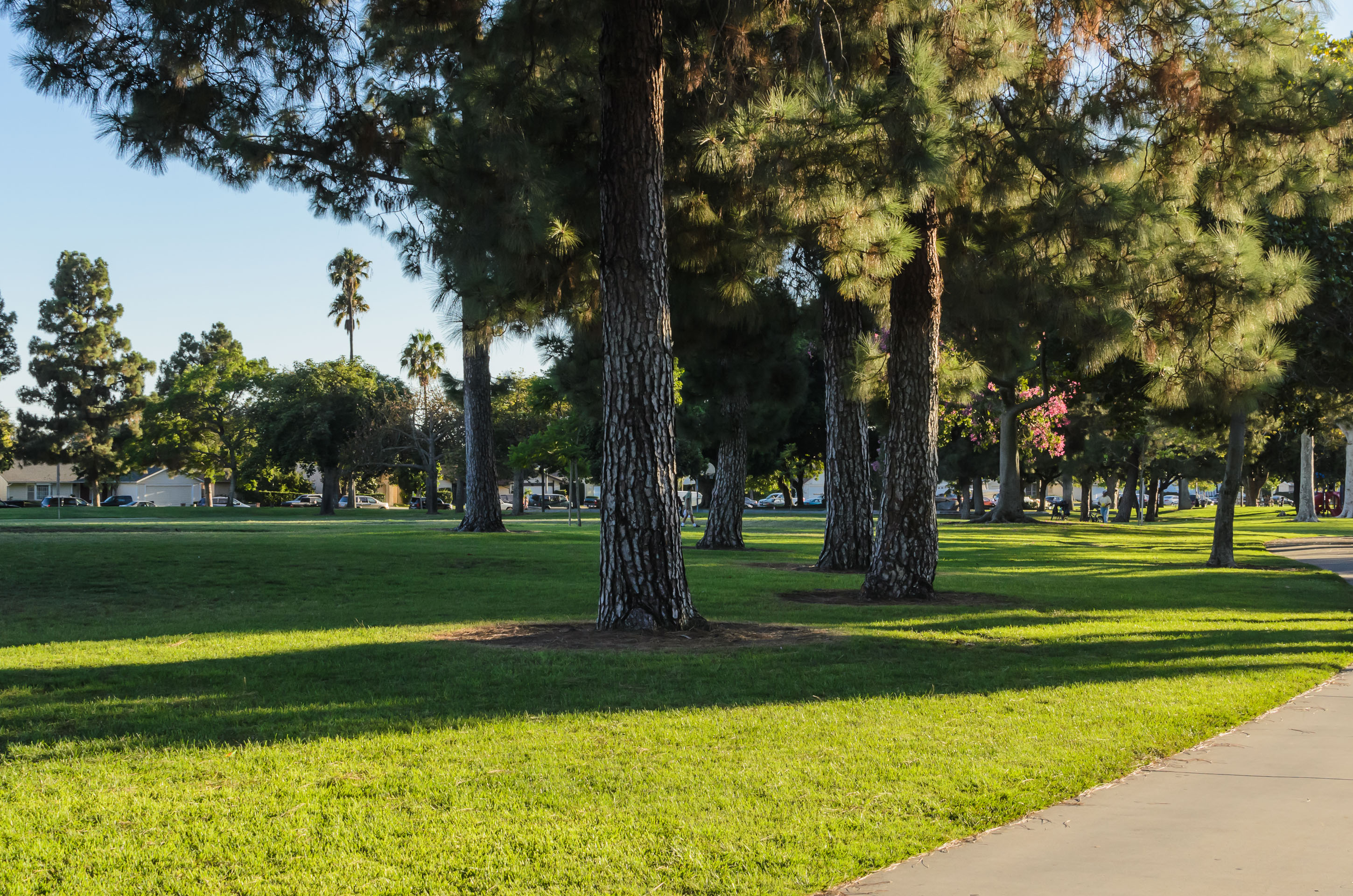 Modjeska Park - MrGALL.com