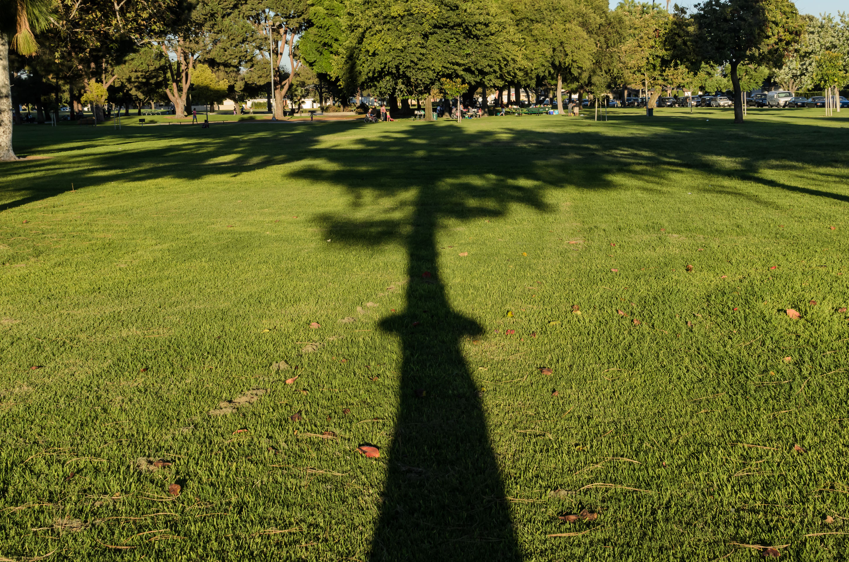 Modjeska Park - MrGALL.com